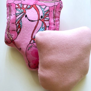 COLON Anatomy Organ Plushy/ Cute Science Toys GUTS - Etsy