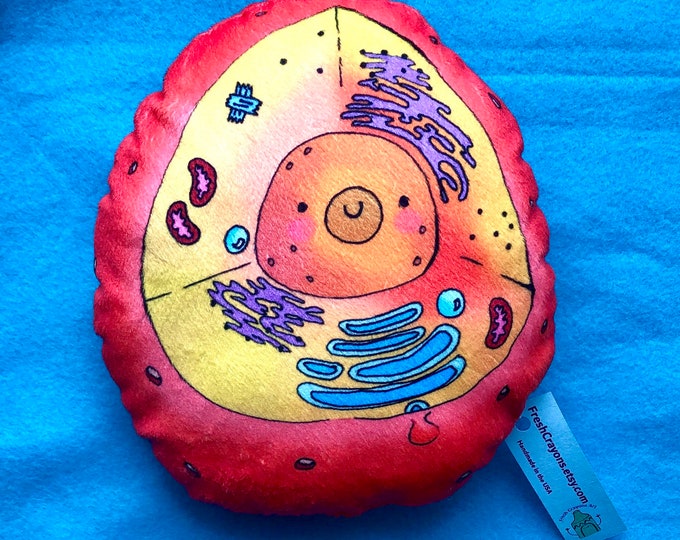 Cell Model Pillow, Plush Biology Science Toy, Stuffed Animal Science - Etsy