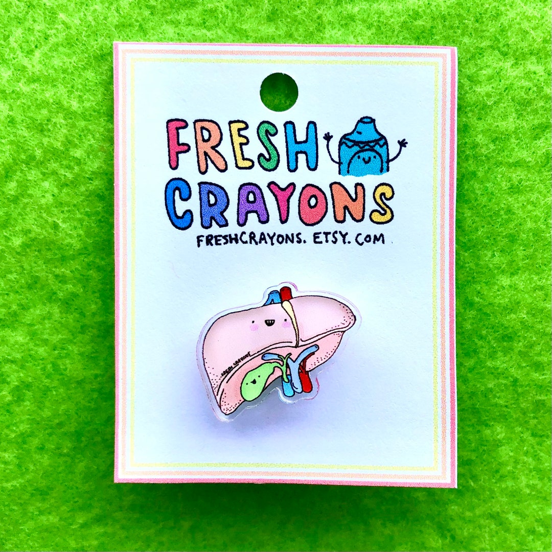LIVER Anatomy Pin: Hepatology Gastroenterology White Coat - Etsy