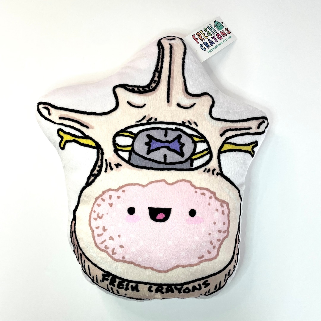 Vertebrae Plushy Spine Toy Back Anatomy Bones Plush Spinal Cord Pillow ...