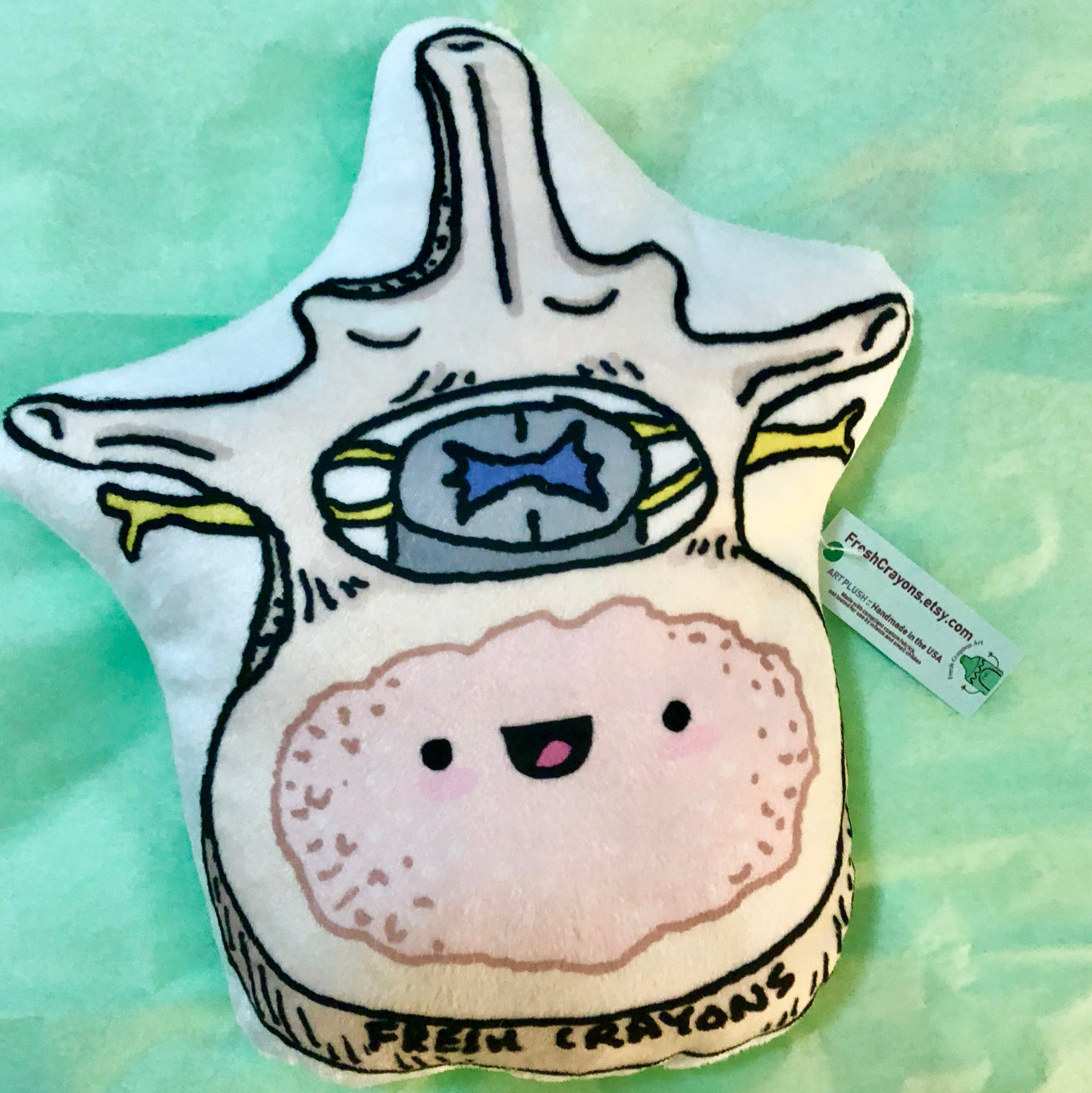Vertebrae Plushy Spine Toy Back Anatomy Bones Plush Spinal Cord Pillow ...