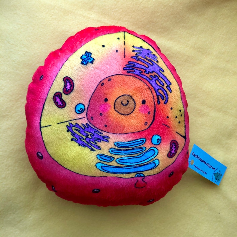Cell Model Plushy, Biology Science Toy, Stuffed Animal Science - Etsy