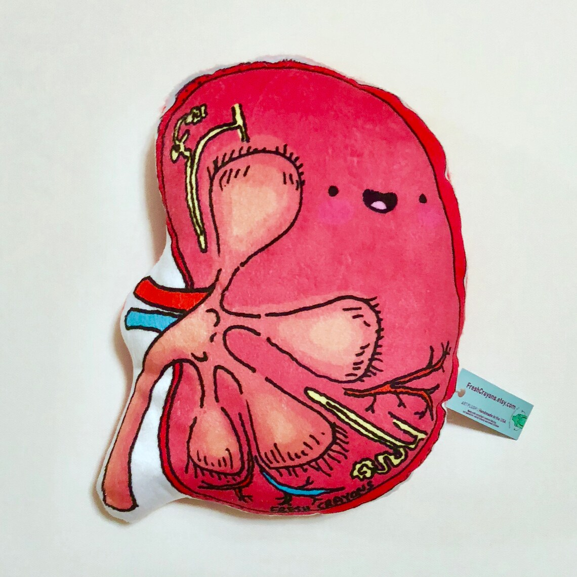KIDNEY plushy/ nephrology plush toy/ kidney organ stuffed | Etsy