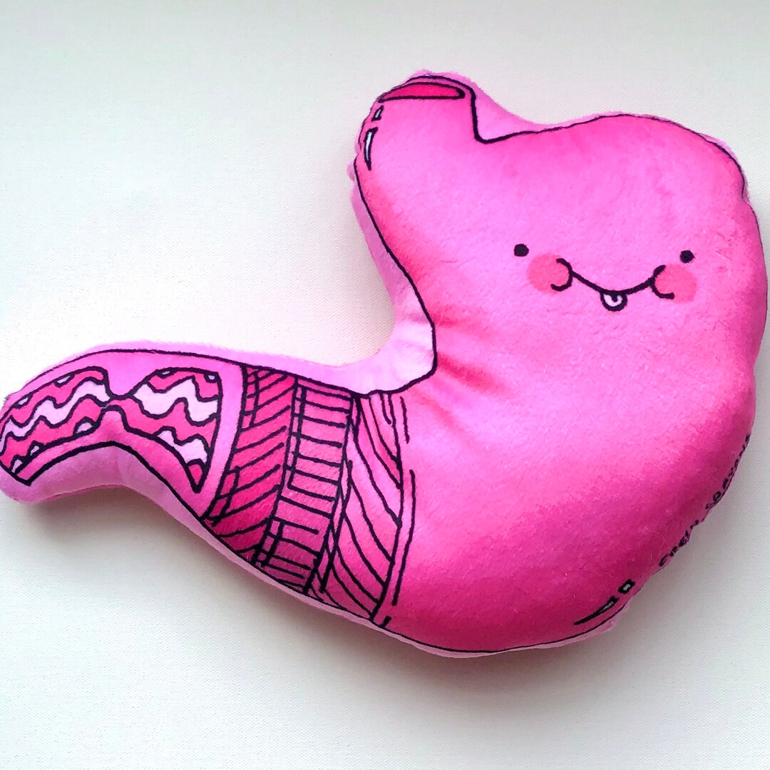 Stomach Organ Plushy for Gastroenterology Anatomy Pillow Toy - Etsy
