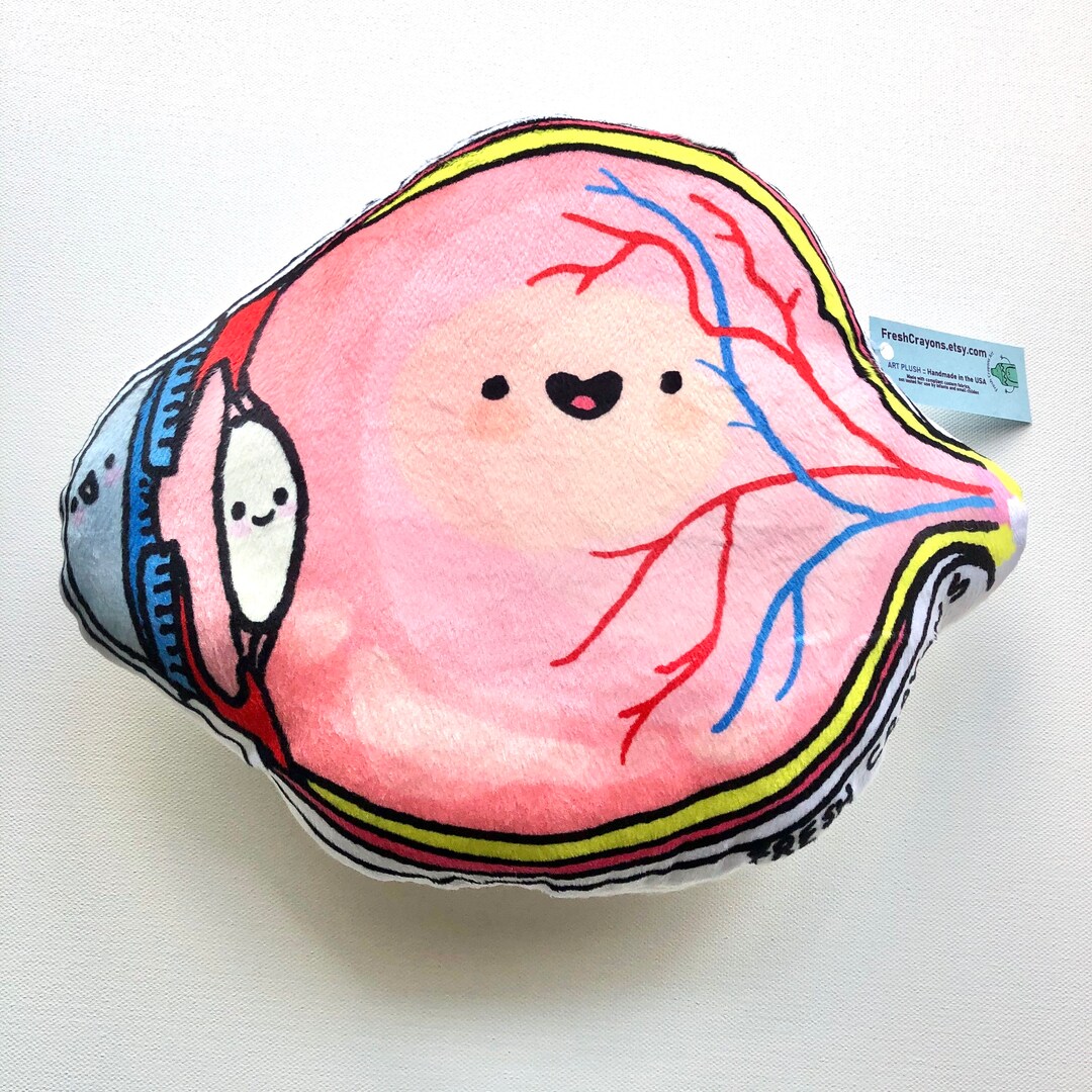 EYE Anatomy Optometry Ophthalmology Plushy Pillow - Etsy