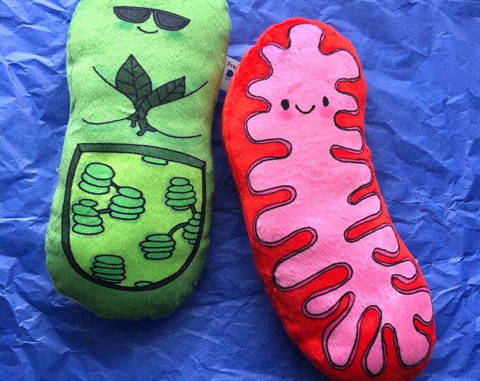 Mitochondria and Chloroplast Plush Set/ Biology Toys/ Plushy Science ...