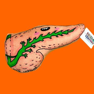 PANCREAS Plushy/ Pancreas Plush Toy/ Anatomy Pancreas Plush Pillow ...