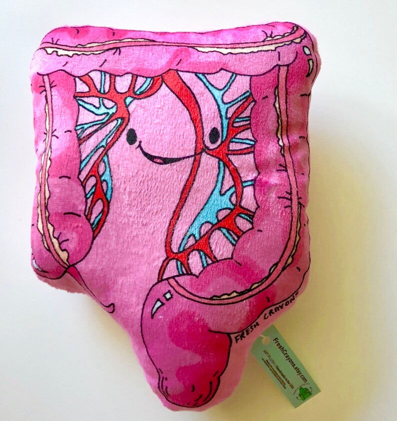 COLON Anatomy Organ Plushy/ Cute Science Toys GUTS - Etsy