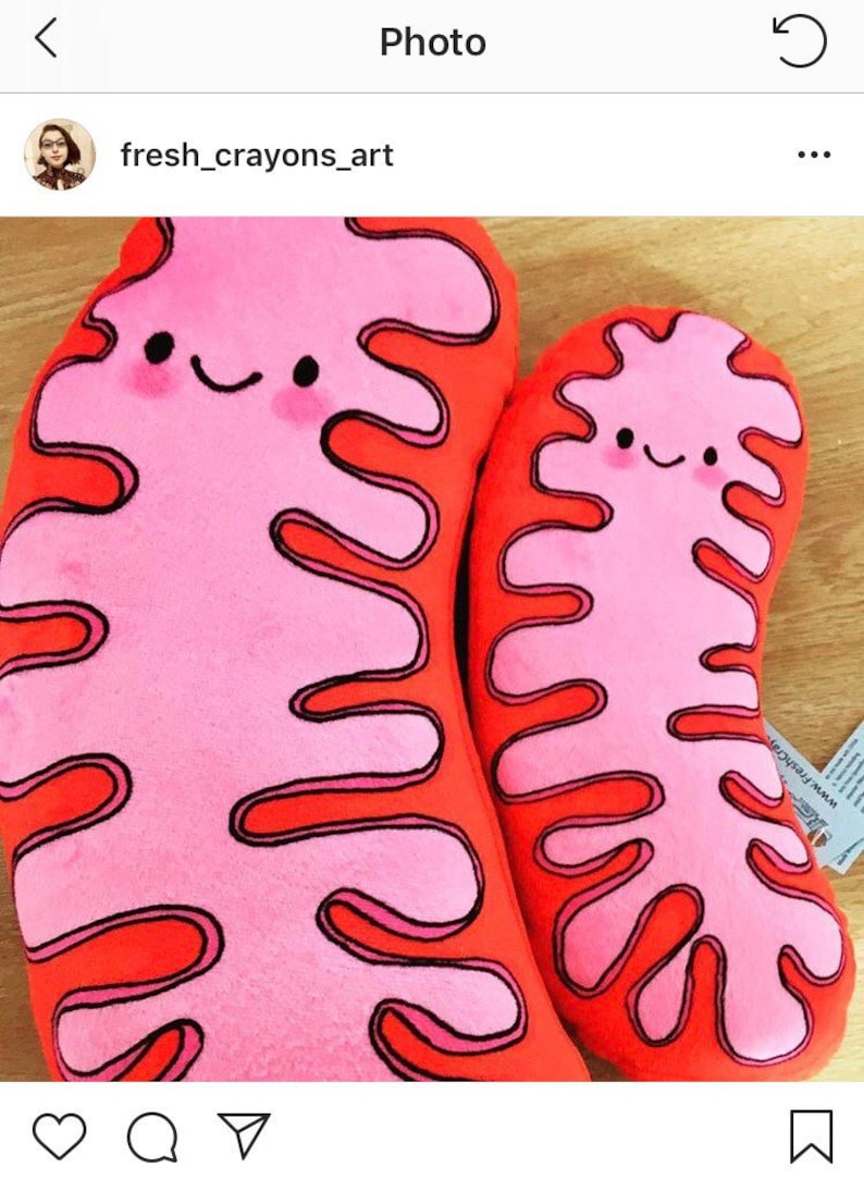 Mitochondria Pillow: XL Science Plushie, Biology Toy Gift Plush - Etsy