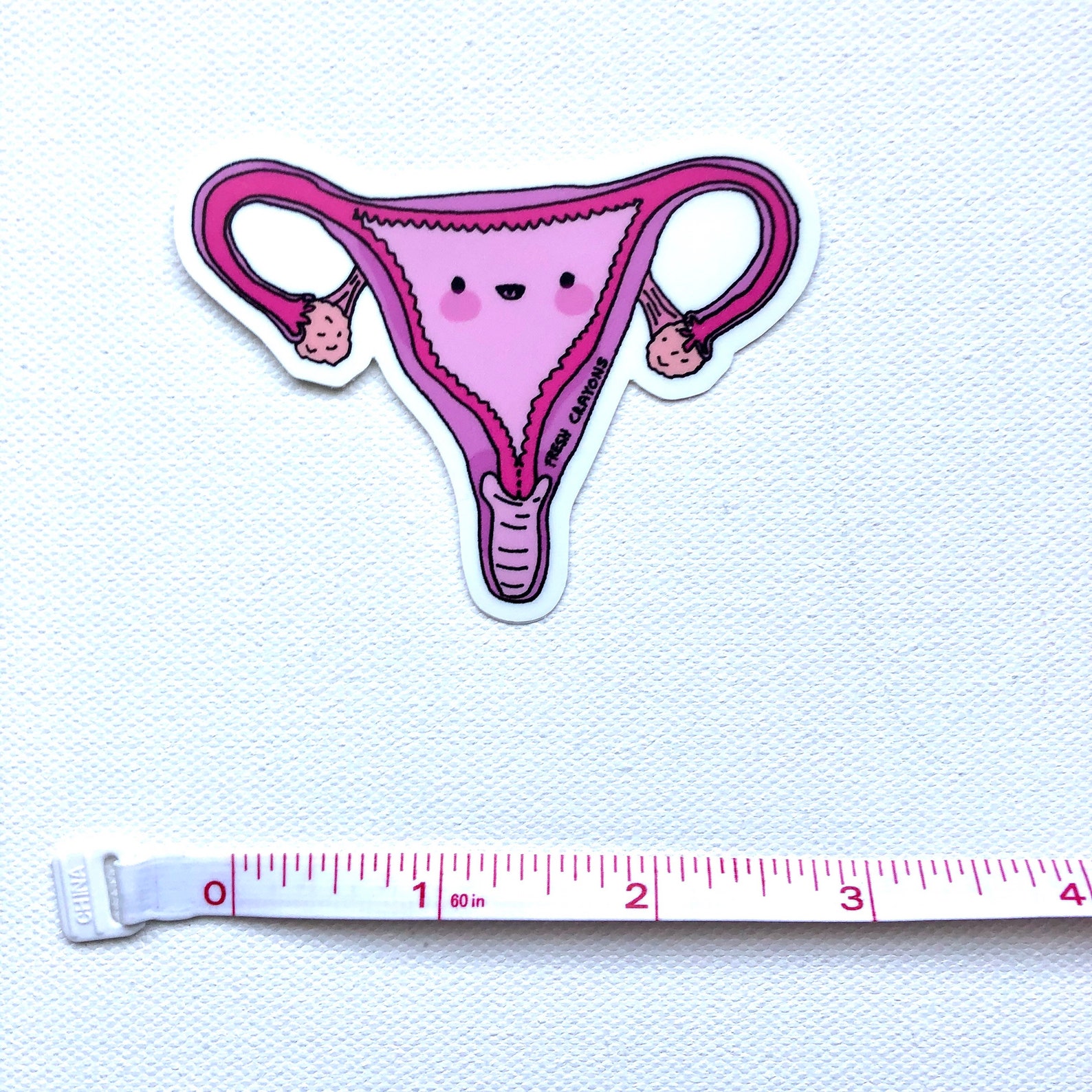 UTERUS STICKER/ Reproductive Organ, Vagina, Cervix, Ovary Vinyl Sticker ...