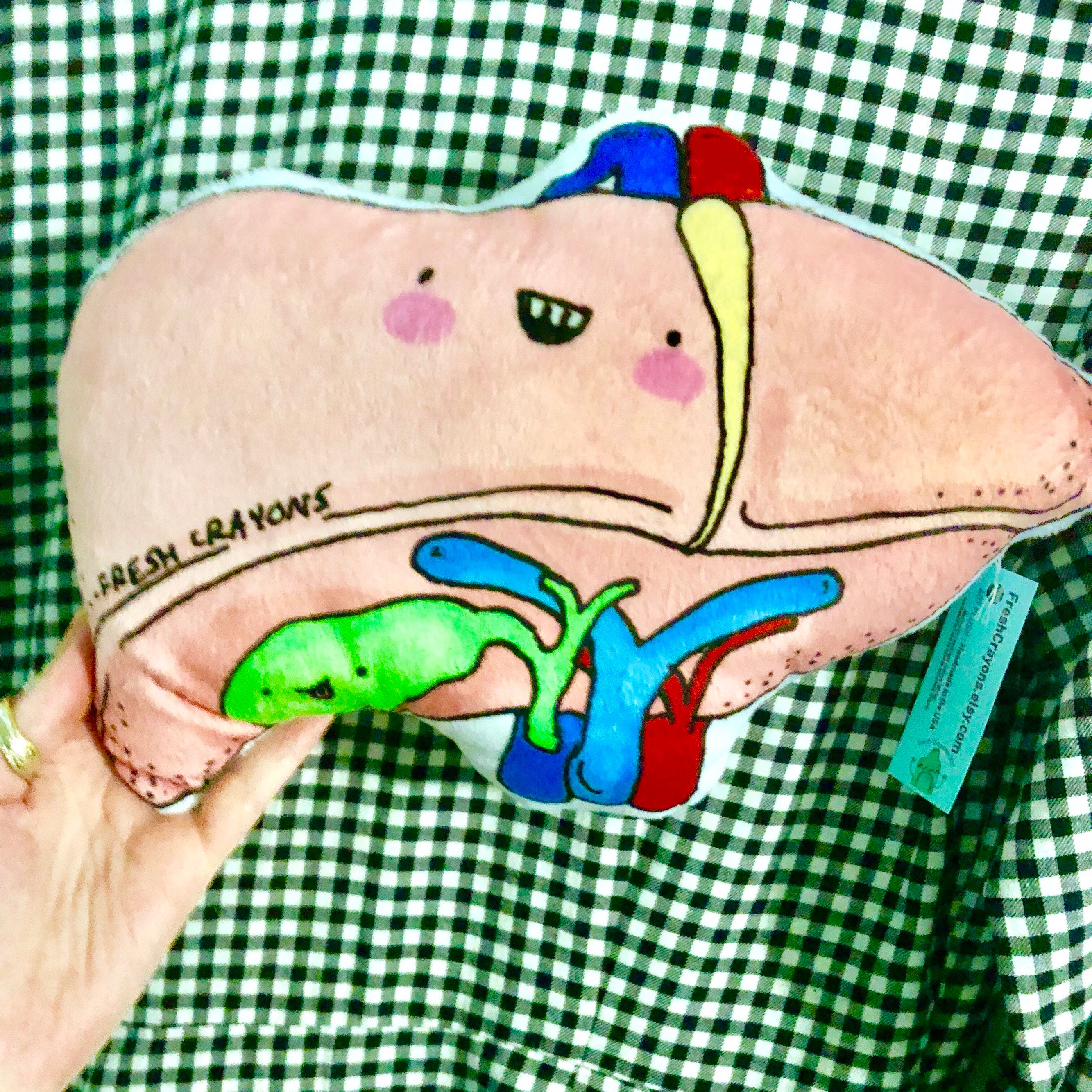 Liver Plushy/ Anatomy Organ Plush/ Hepatic Stuffed Animal - Etsy