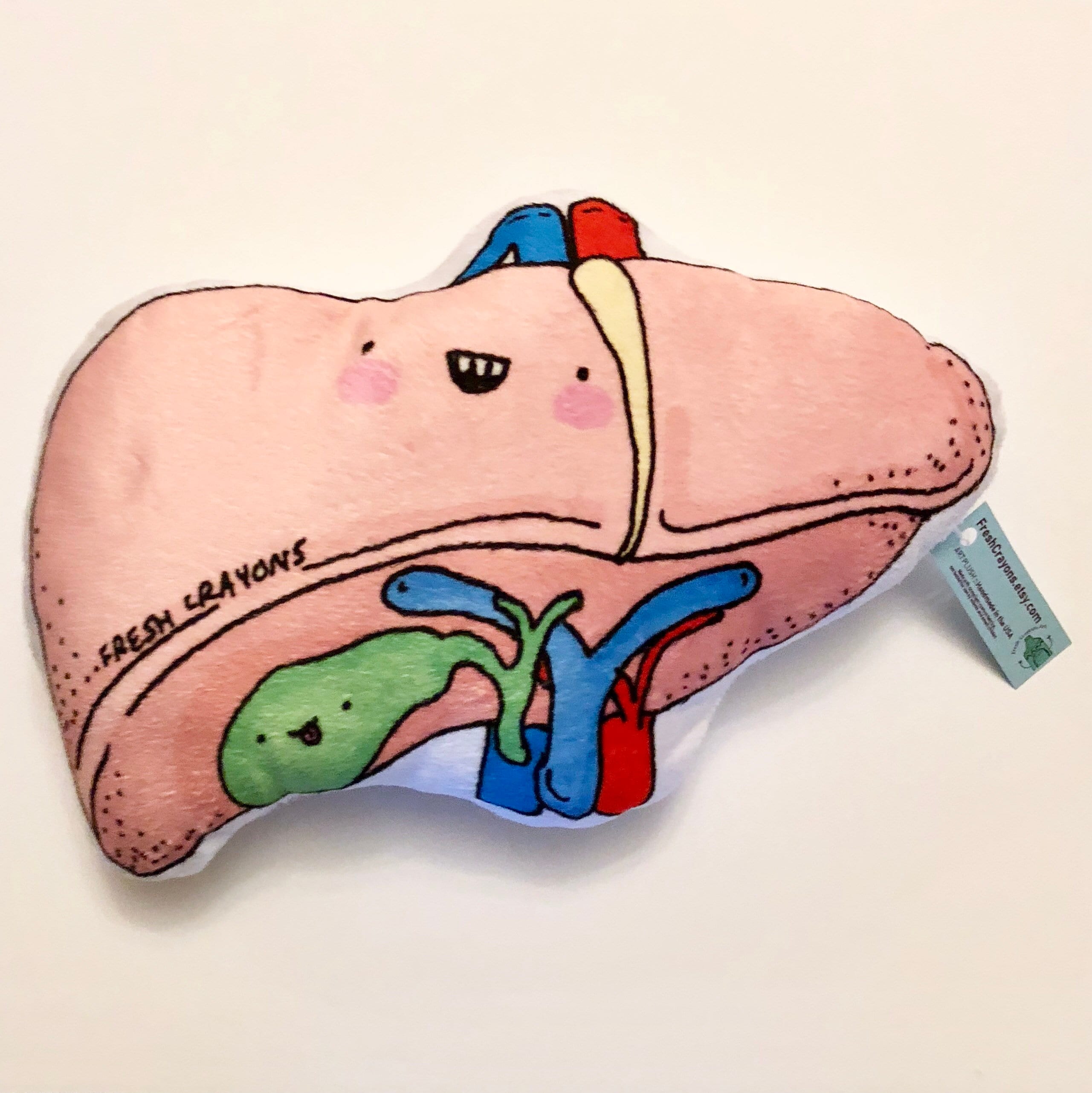 Liver Plushy/ Anatomy Organ Plush/ Hepatic Stuffed Animal - Etsy