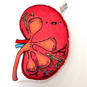 KIDNEY Plushy/ Nephrology Plush Toy/ Kidney Organ Stuffed Animal - Etsy