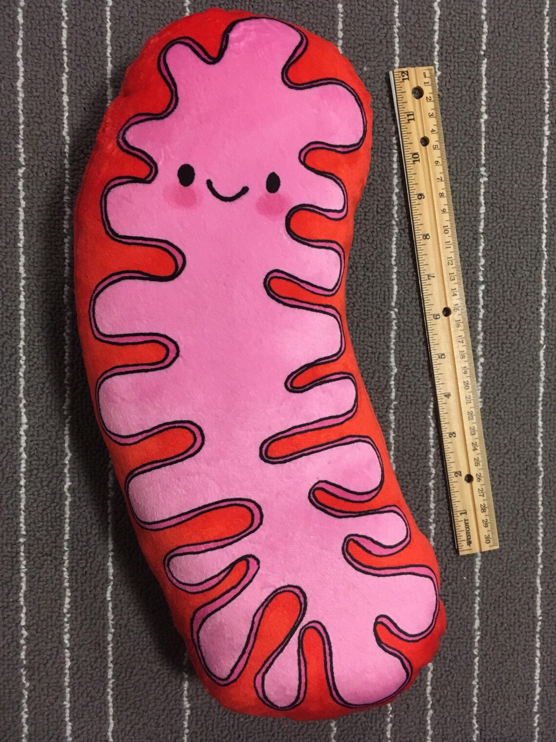 Mitochondria Pillow: XL Science Plushie, Biology Toy Gift Plush - Etsy