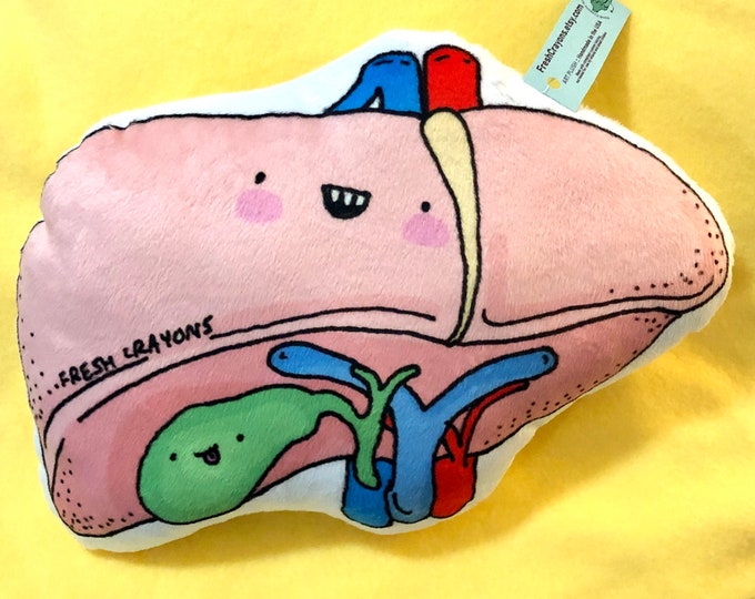 Liver Plushy/ Anatomy Organ Plush/ Hepatic Stuffed Animal - Etsy