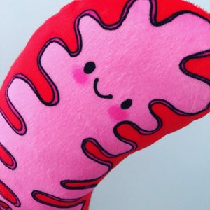 Mitochondria Pillow: XL Science Plushie, Biology Toy Gift Plush - Etsy