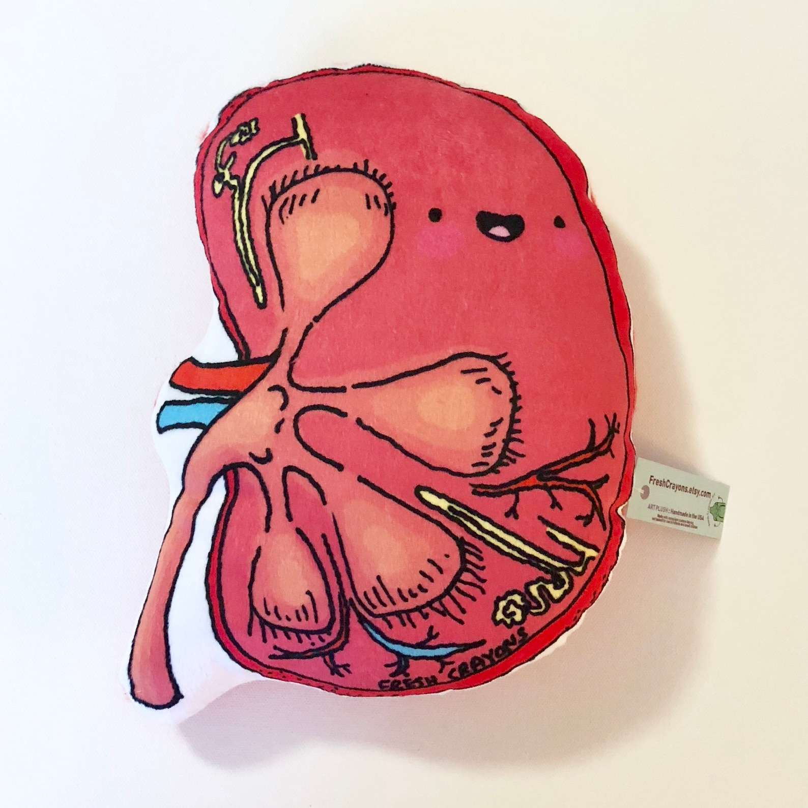 KIDNEY plushy/ nephrology plush toy/ kidney organ stuffed | Etsy