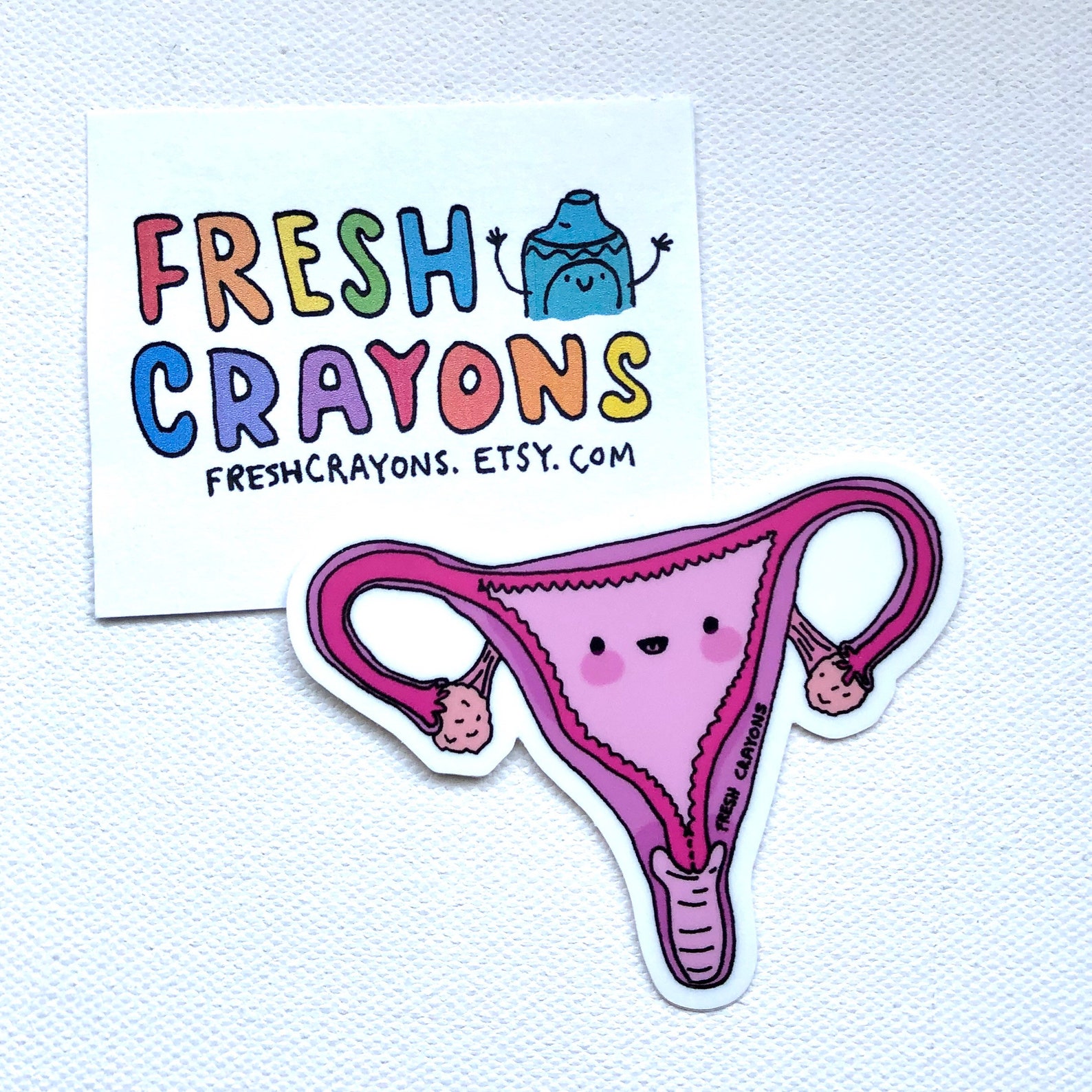 UTERUS STICKER/ Reproductive Organ, Vagina, Cervix, Ovary Vinyl Sticker ...