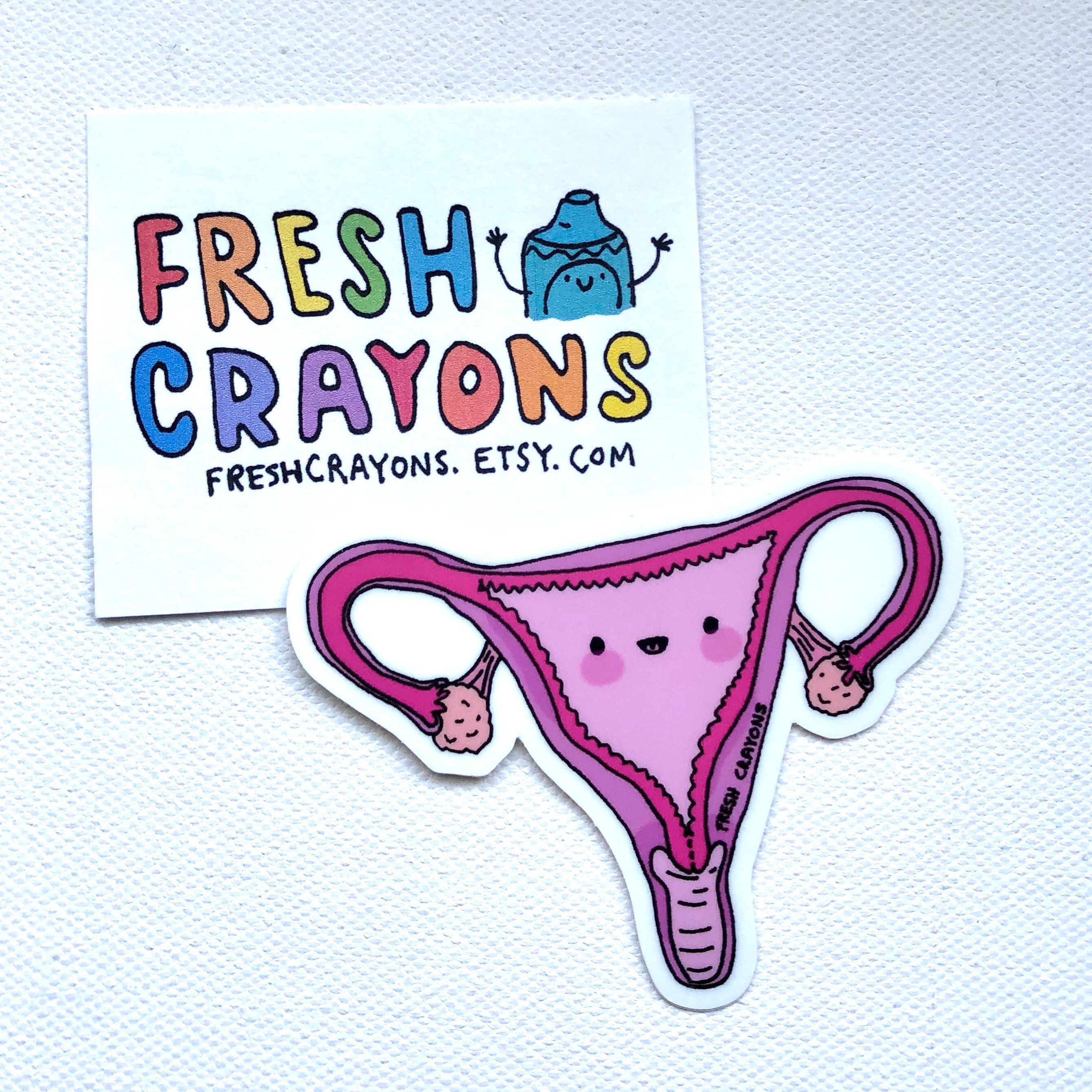 UTERUS STICKER/ Reproductive Organ, Vagina, Cervix, Ovary Vinyl Sticker ...