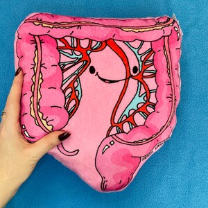COLON Anatomy Organ Plushy/ Cute Science Toys GUTS - Etsy