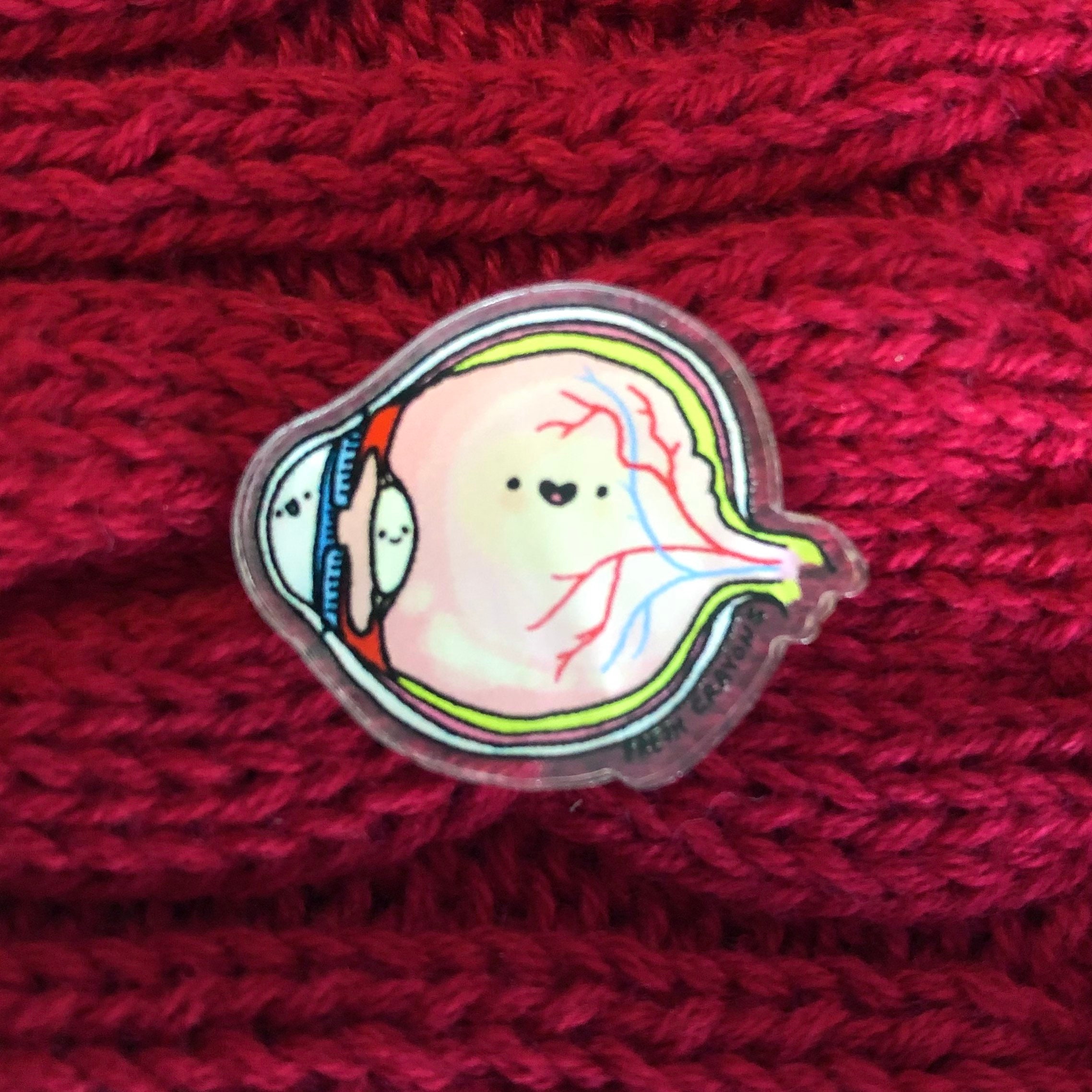 EYE anatomy pin: ophthalmology optometry ocular science | Etsy