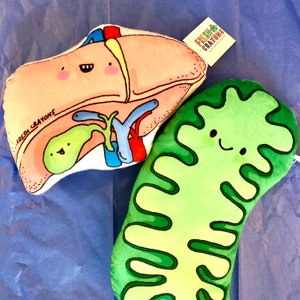 Liver Plushy/ Anatomy Organ Plush/ Hepatic Stuffed Animal - Etsy