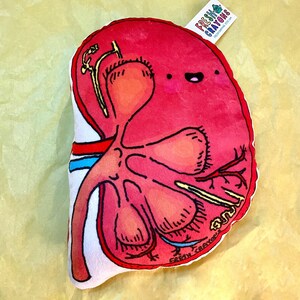 KIDNEY Plushy/ Nephrology Plush Toy/ Kidney Organ Stuffed Animal - Etsy