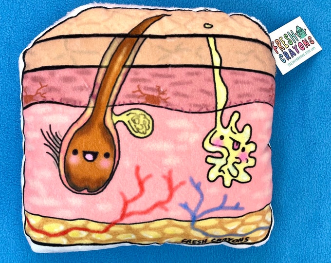 PANCREAS Plushy/ Pancreas Plush Toy/ Anatomy Pancreas Plush Pillow ...