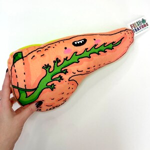 PANCREAS Plushy/ Pancreas Plush Toy/ Anatomy Pancreas Plush Pillow ...