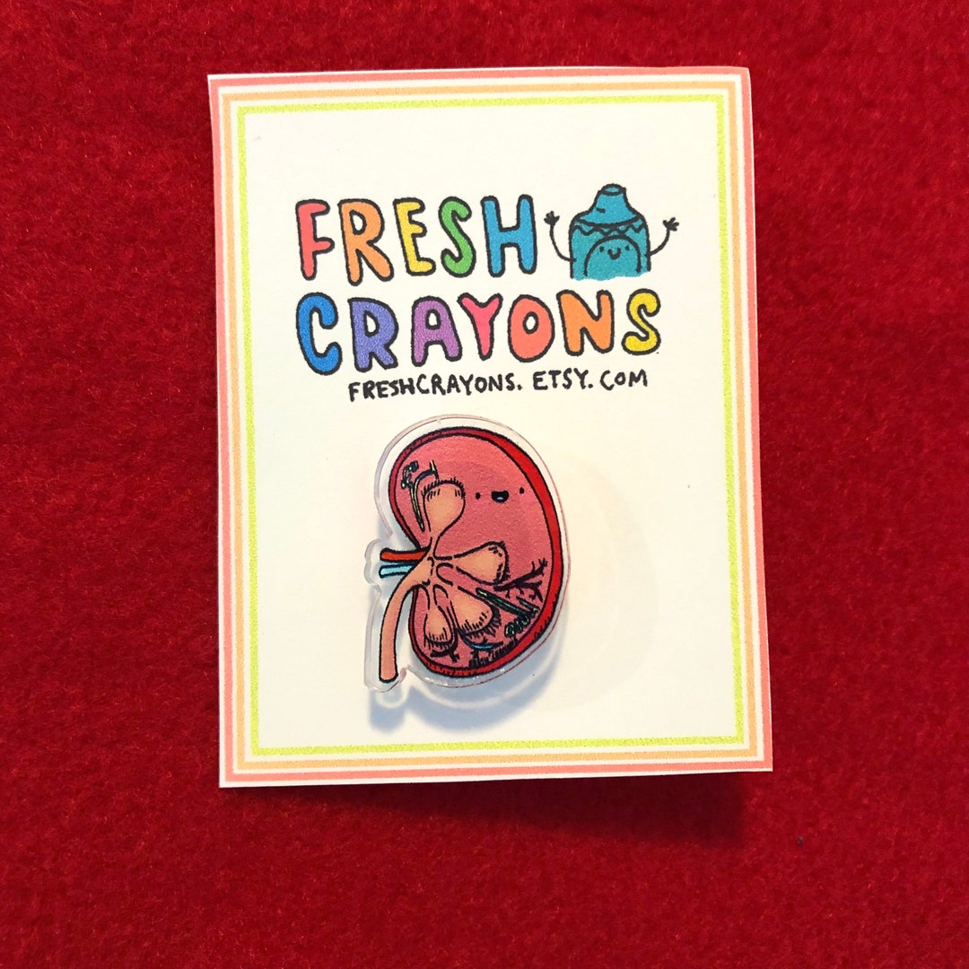 KIDNEY Anatomy Pin: Nephrology, Urology, White Coat - Etsy