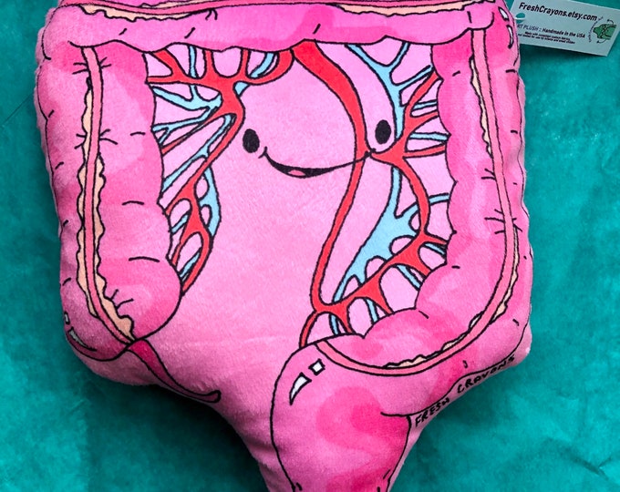COLON Anatomy Organ Plushy/ Cute Science Toys GUTS - Etsy