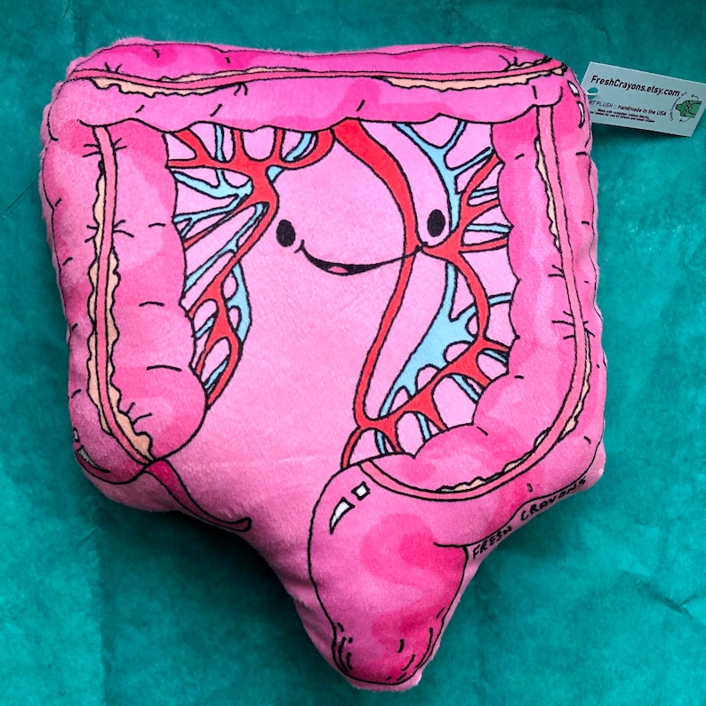 COLON Anatomy Organ Plushy/ Cute Science Toys GUTS - Etsy