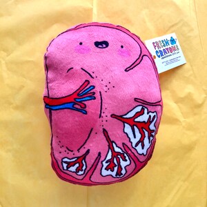 Spleen Plushy/ Spleen Organ Pillow/ Anatomy Illustration Toy, Biology ...