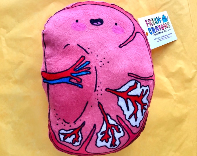 PANCREAS Plushy/ Pancreas Plush Toy/ Anatomy Pancreas Plush - Etsy UK