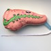 PANCREAS Plushy/ Pancreas Plush Toy/ Anatomy Pancreas Plush - Etsy