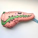 PANCREAS Plushy/ Pancreas Plush Toy/ Anatomy Pancreas Plush - Etsy