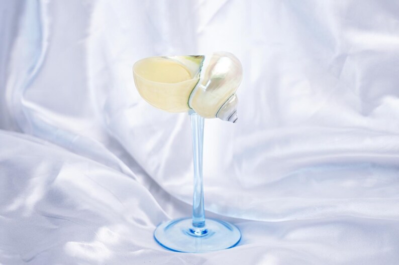 Handmade Conch Shell Glass Cup | Custom Seashell Cocktail & Wine Glass ...