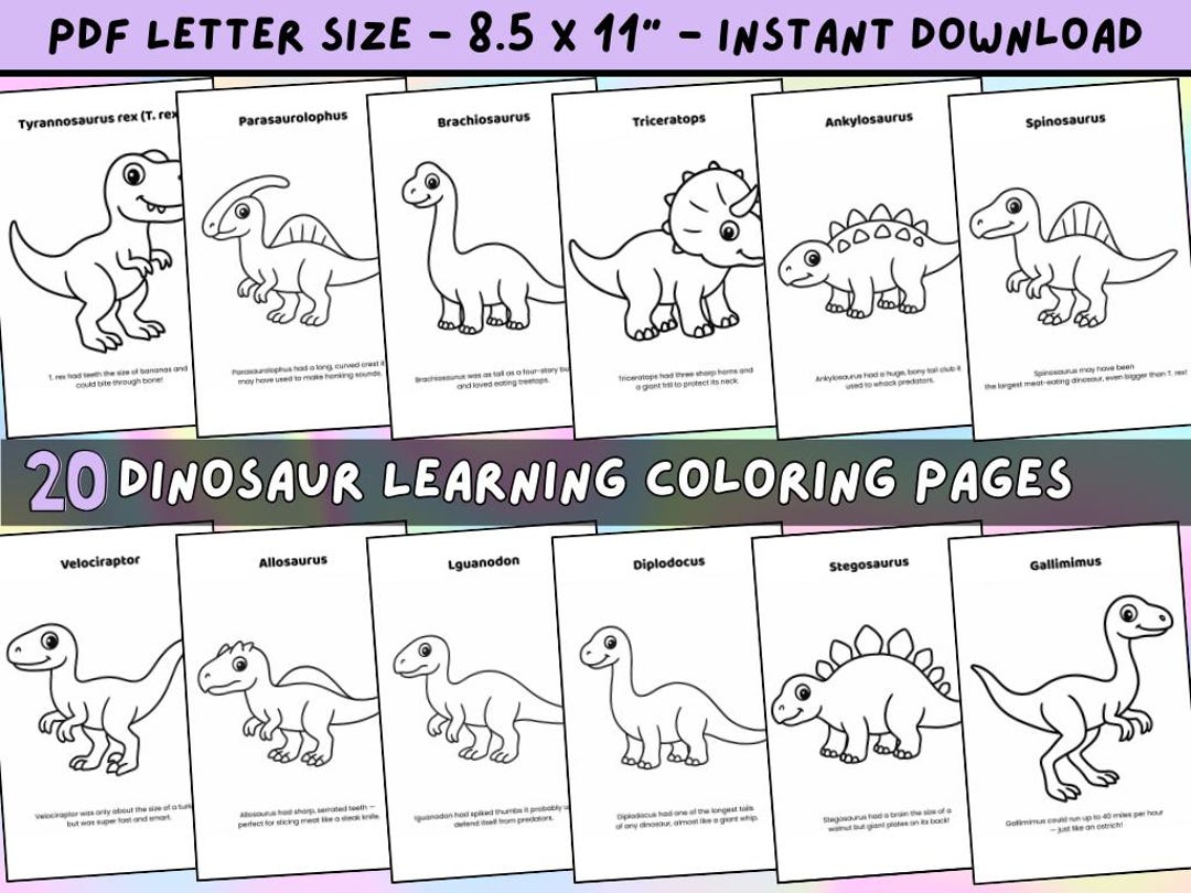 Roar & Color! Dinosaur Coloring Book for Kids – 20 Fun Dinosaur Pages ...