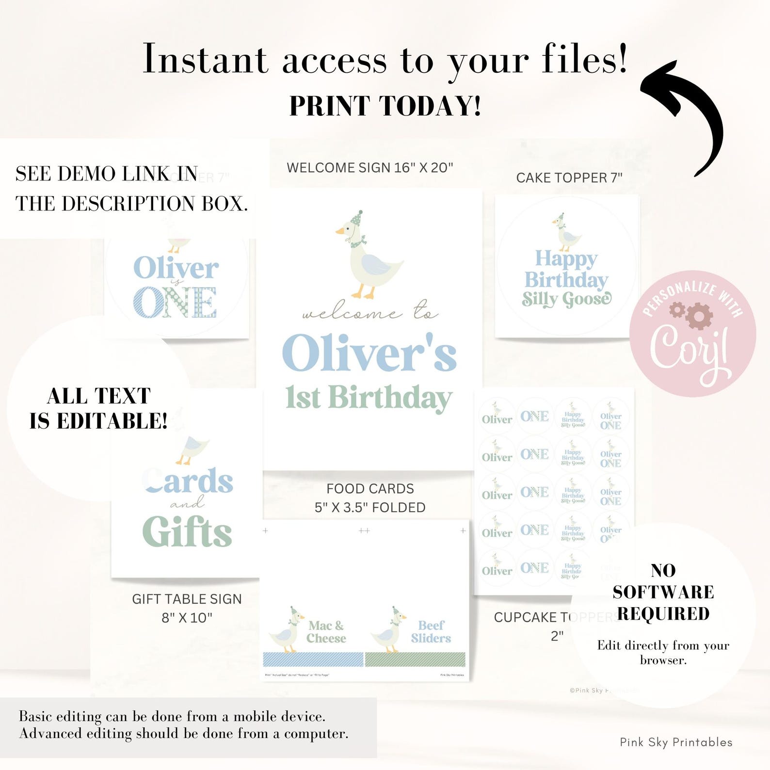Silly Goose Birthday Party Bundle for Boys | EDITABLE | Invitation ...