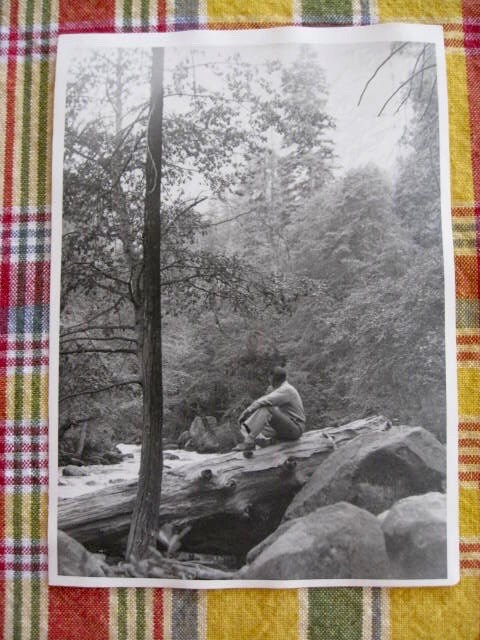 4 Yosemite National Park Original Photo Vintage Photographs | Etsy