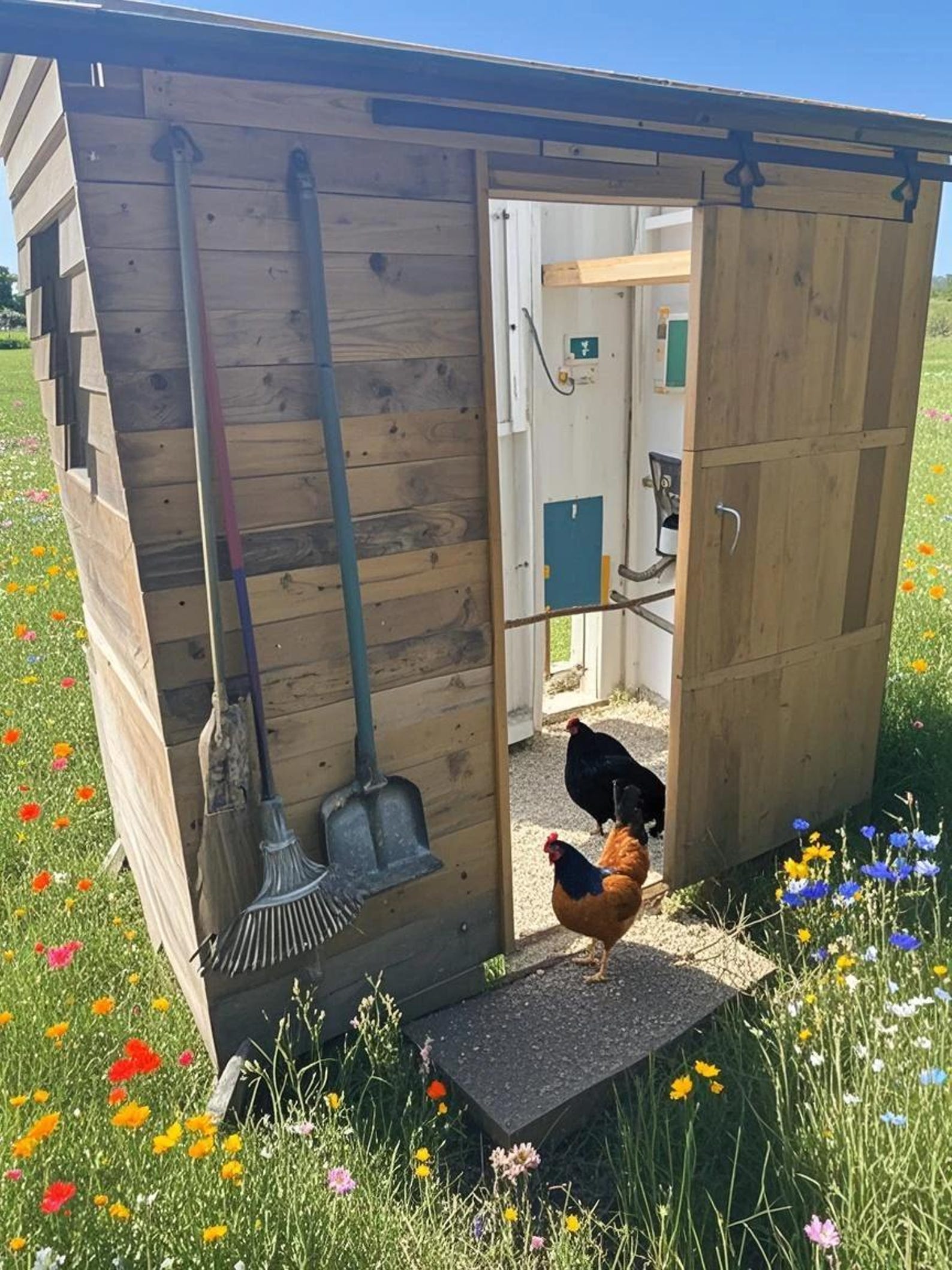 8x4 DIY Chicken Coop Plans - Shed Style Easy Build Plan With Step by ...