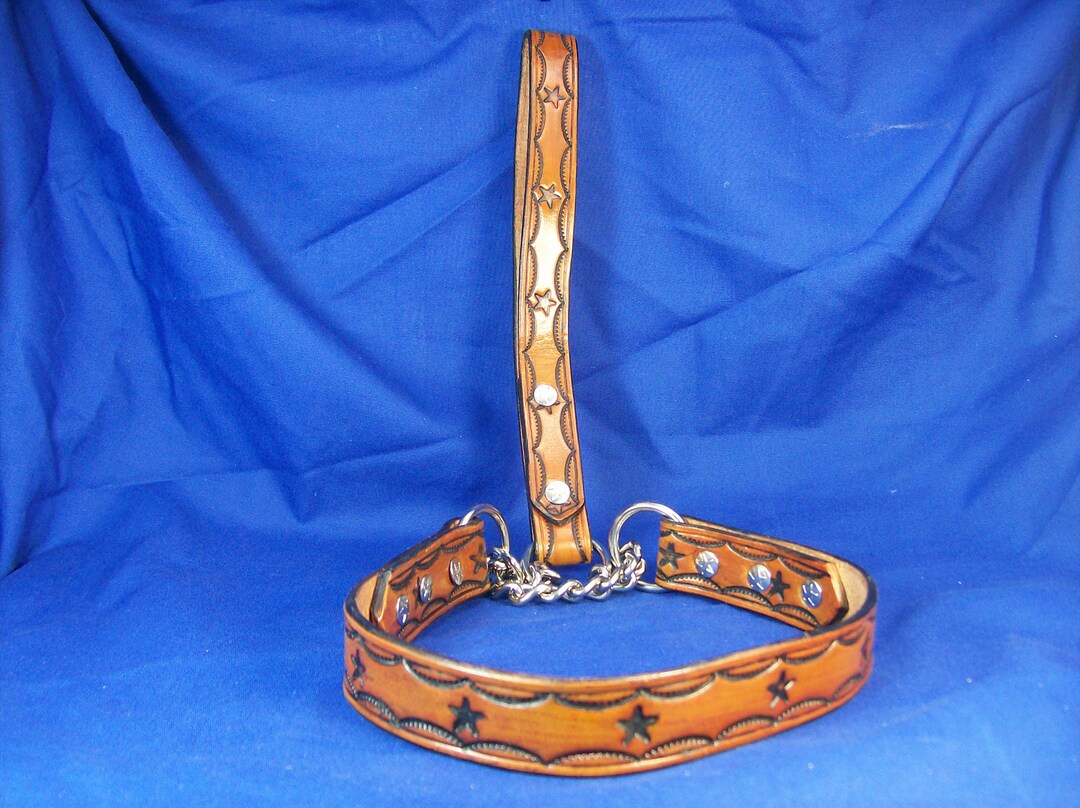 Leather Dog Agility Martingale Collar Tag Lead Combo - Etsy