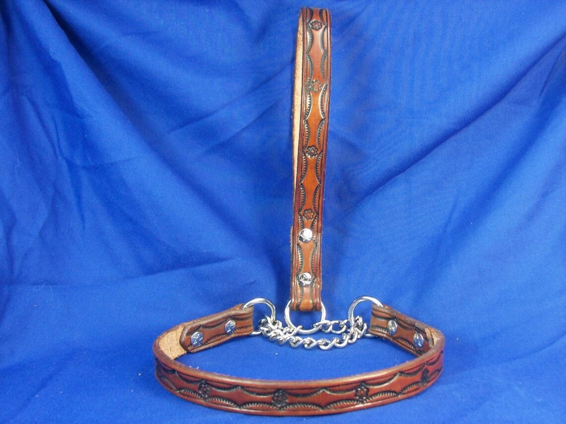 Leather Agility/competition Martingale Dog Collar With Tag - Etsy