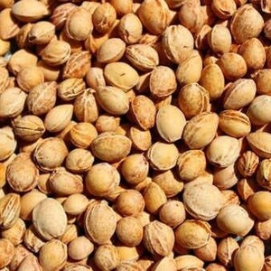 Reusable Microwave Heat Pat CHERRY PIT, Microwavable Washable Cherry ...