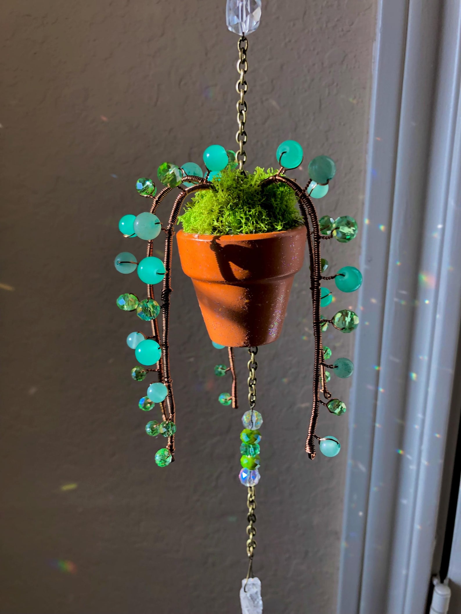 String of Pearls Beaded Forever Succulent Suncatcher, Crystal Decor ...