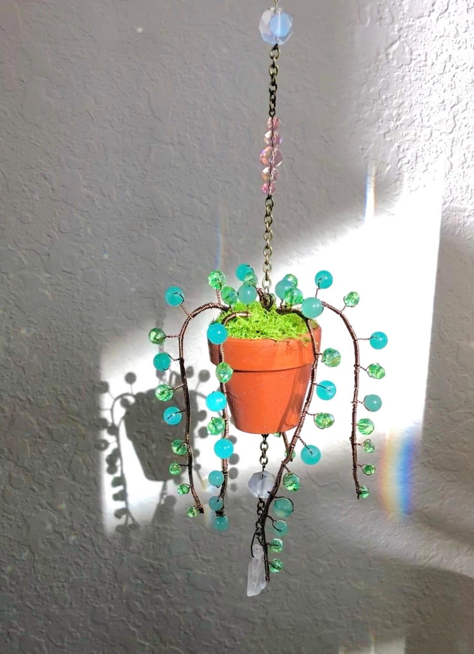 String of Pearls Beaded Forever Succulent Suncatcher, Crystal Decor ...