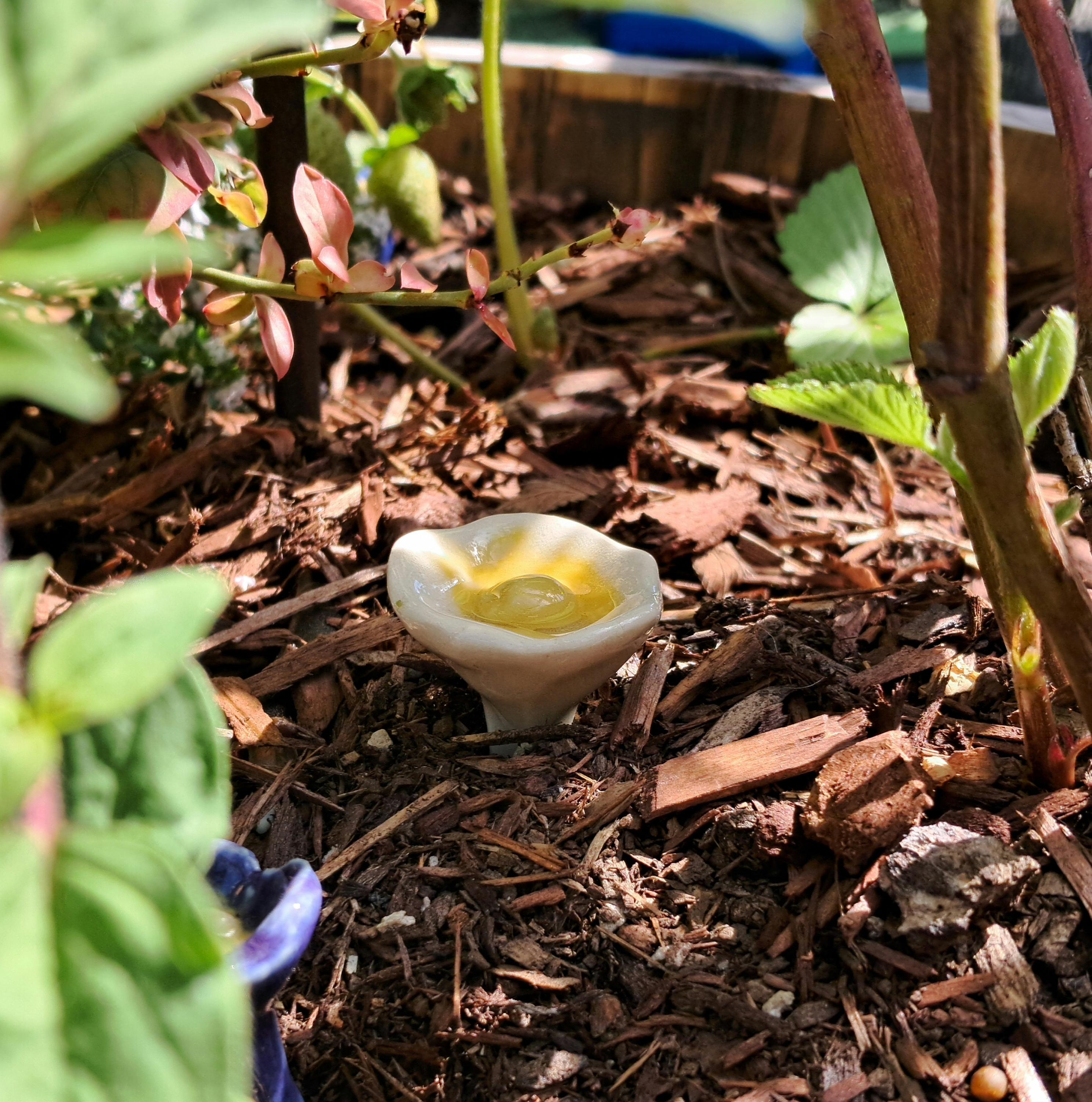 Handmade Ceramic Bee Watering Station: Garden Pollinator Cup - Etsy