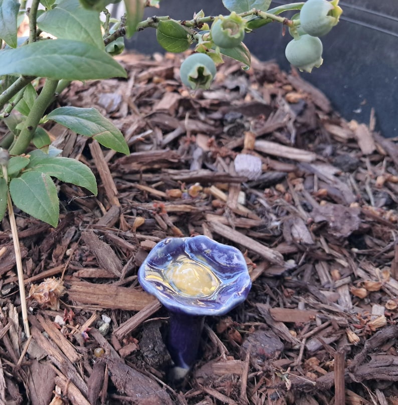 Handmade Ceramic Bee Watering Station: Garden Pollinator Cup - Etsy