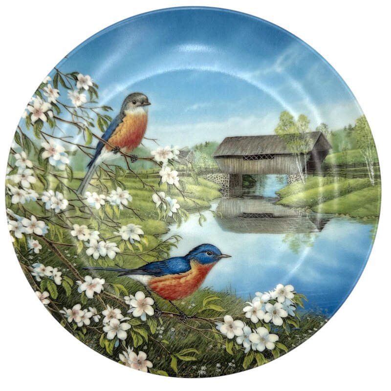 Sam Timm - Etsy