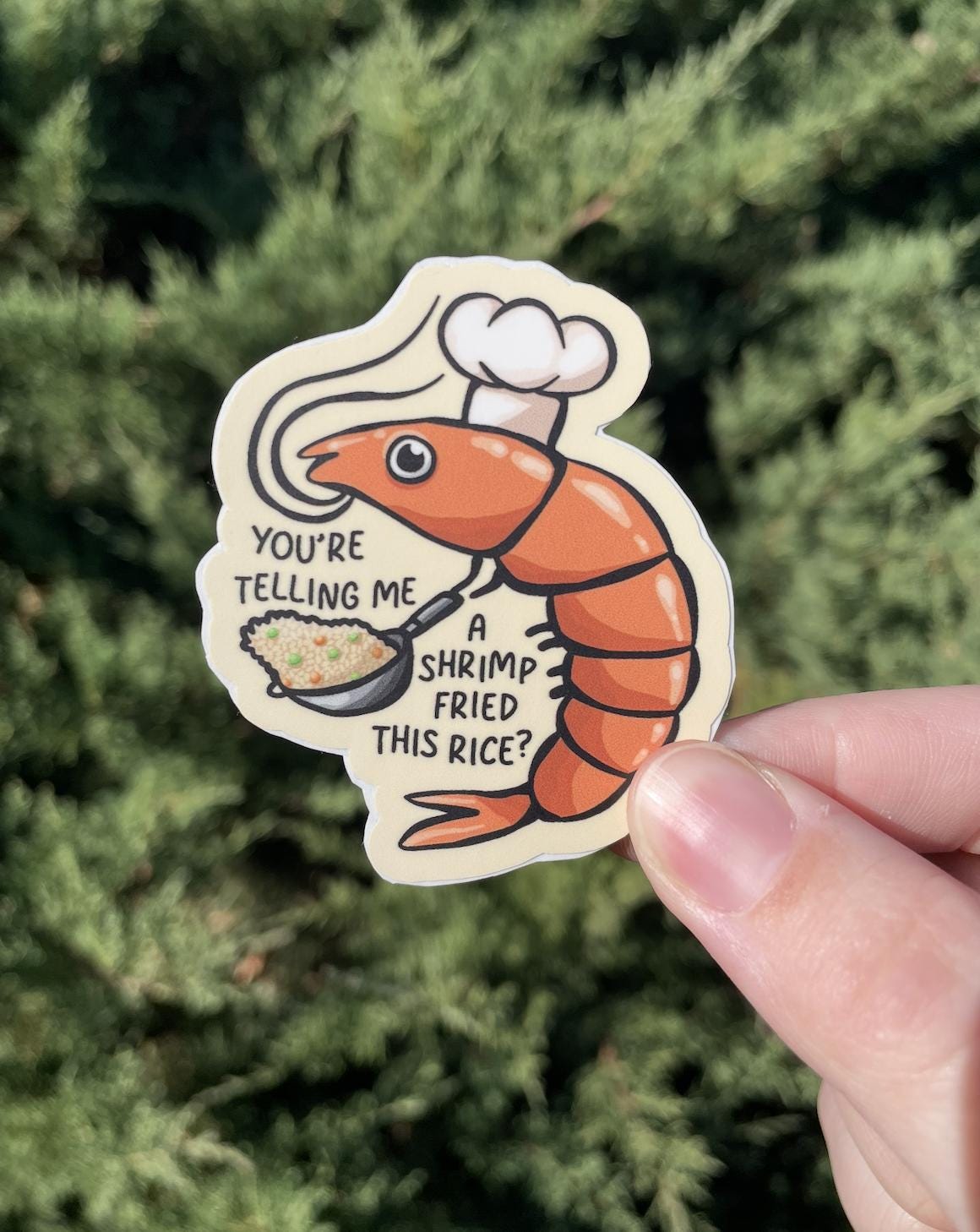 Shrimp Fried Rice Sticker / Vinyl Decal - Etsy